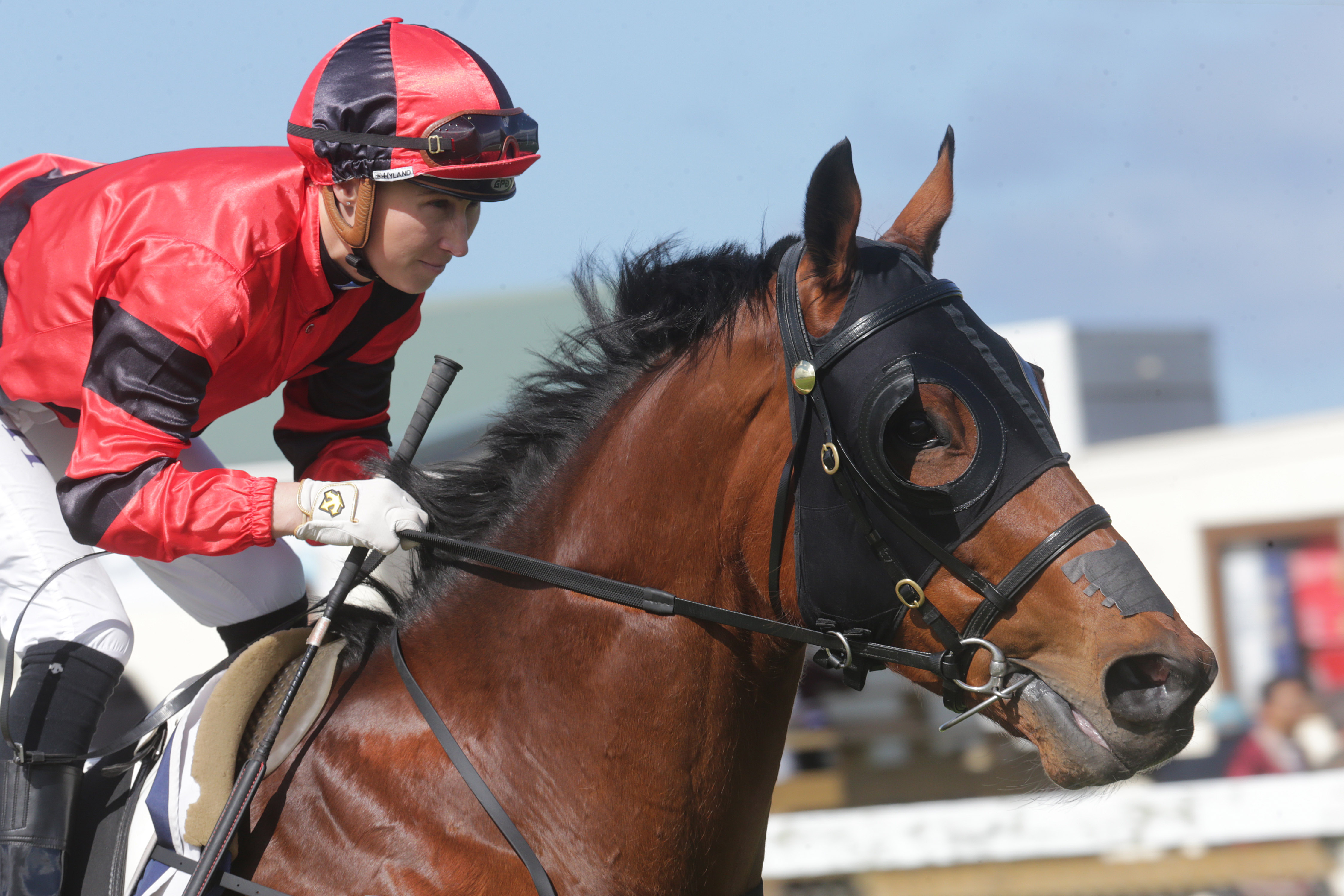 Group Three target for Cole’s new addition - LOVERACING.NZ